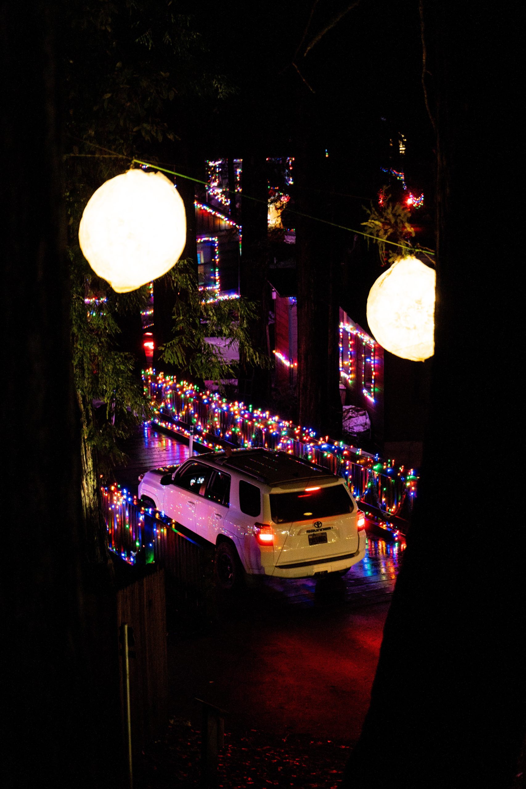 Christmas in the Redwoods 2024 | Conference Grounds - Alliance Redwoods