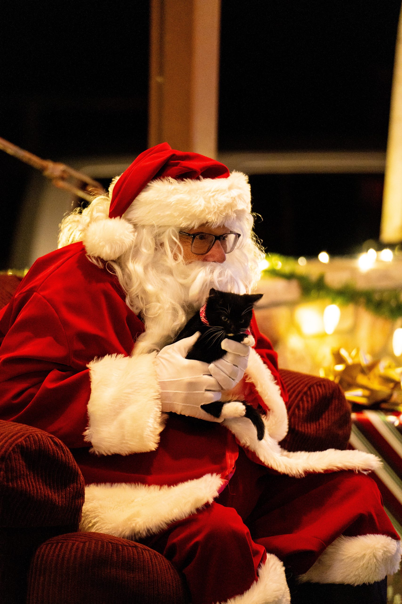 Christmas in the Redwoods 2024 | Conference Grounds - Alliance Redwoods