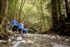 Summer Camps - Alliance Redwoods Conference Grounds