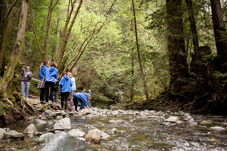 Summer Camps - Alliance Redwoods Conference Grounds