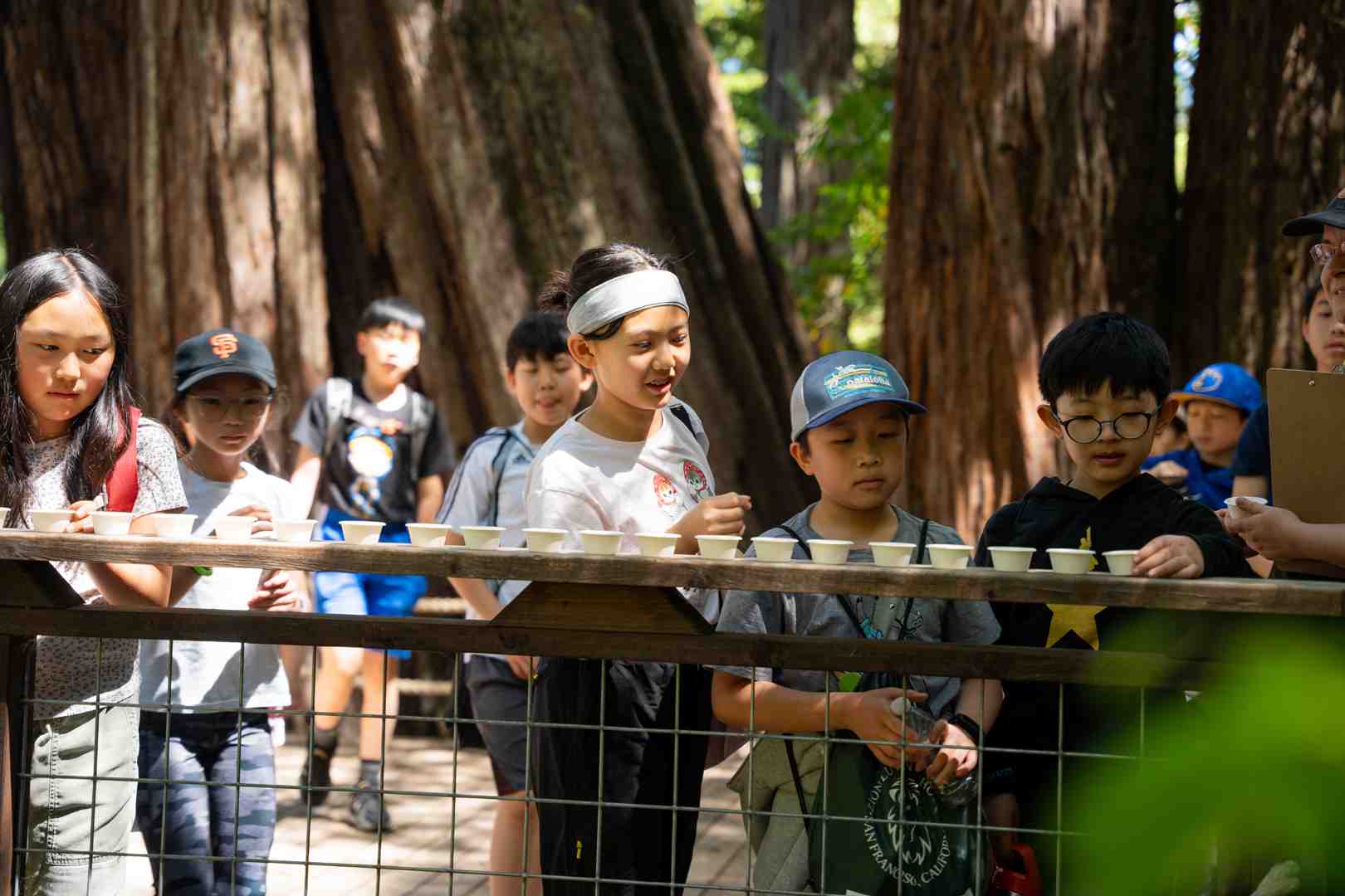 Experiential Learning Types: Everything You Need to Know